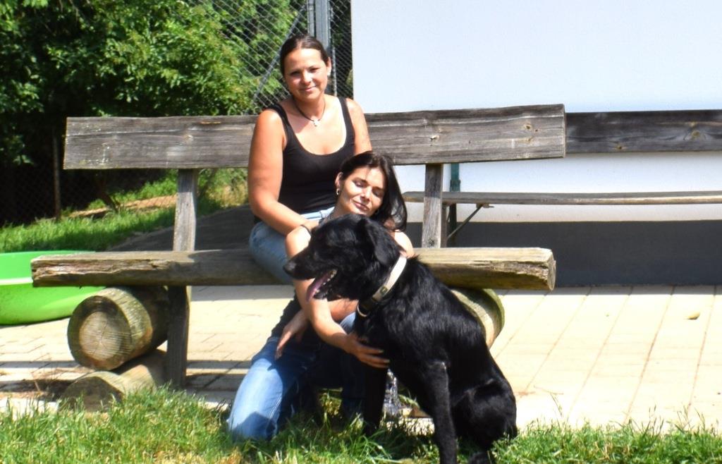 Tierhilfe Weiding-Walting hat klare Regeln: So klappt es mit dem ...