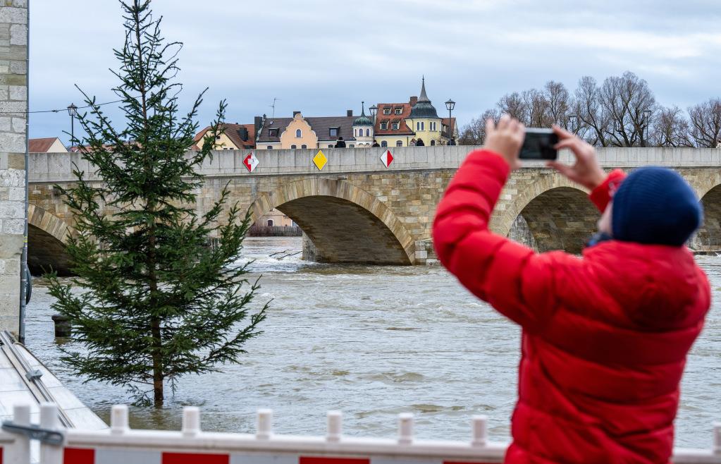 Wenn Christbäume sprechen könnten – eine Kolumne von Heinz Klein