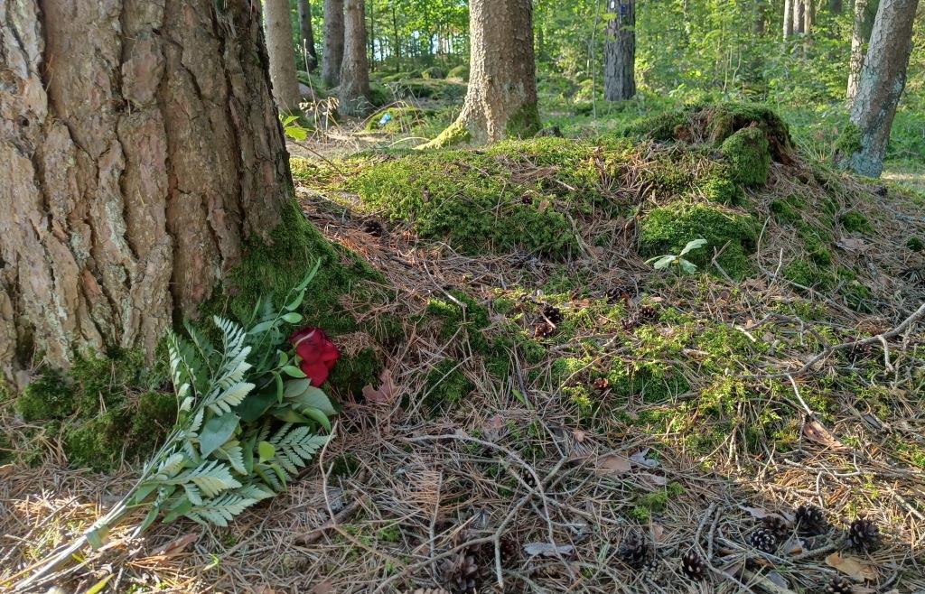 So steht es um den Naturfriedhof Schlosswald in Nittenau