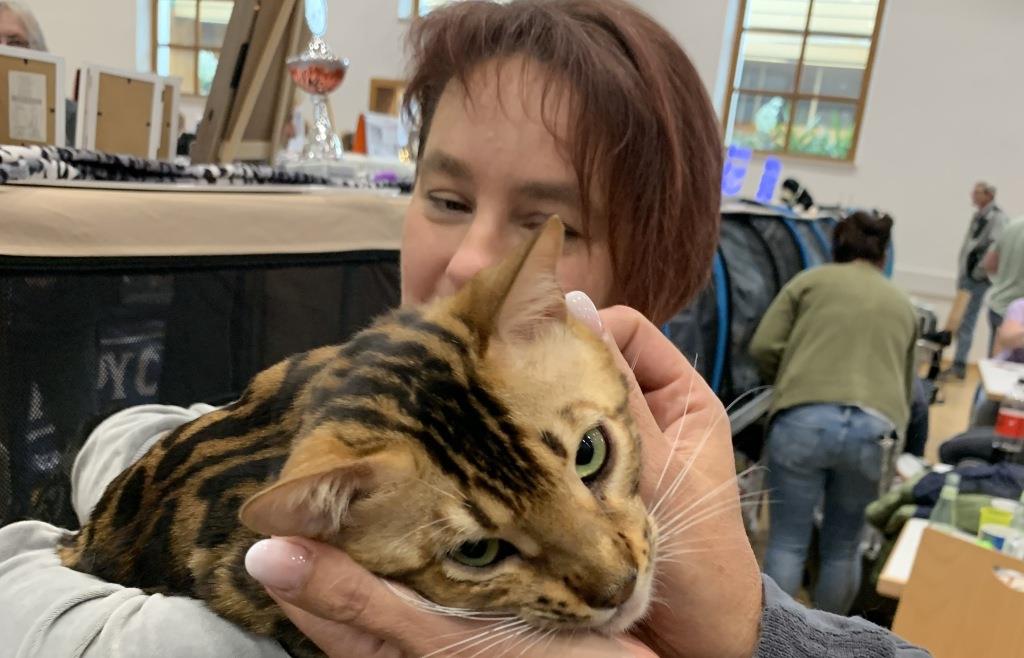 Magic Cat Club-Ausstellung in Regenstauf: Ein Paradies für Katzenliebhaber