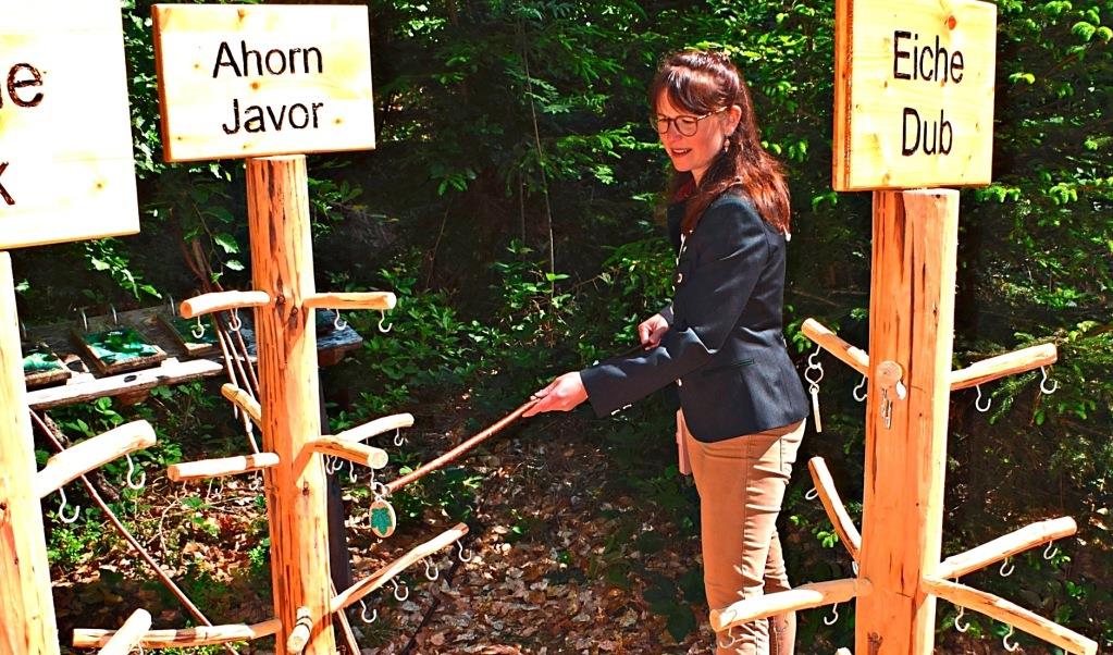 1230 Schüler lernen in Furth im Wald den heimischen Wald besser kennen