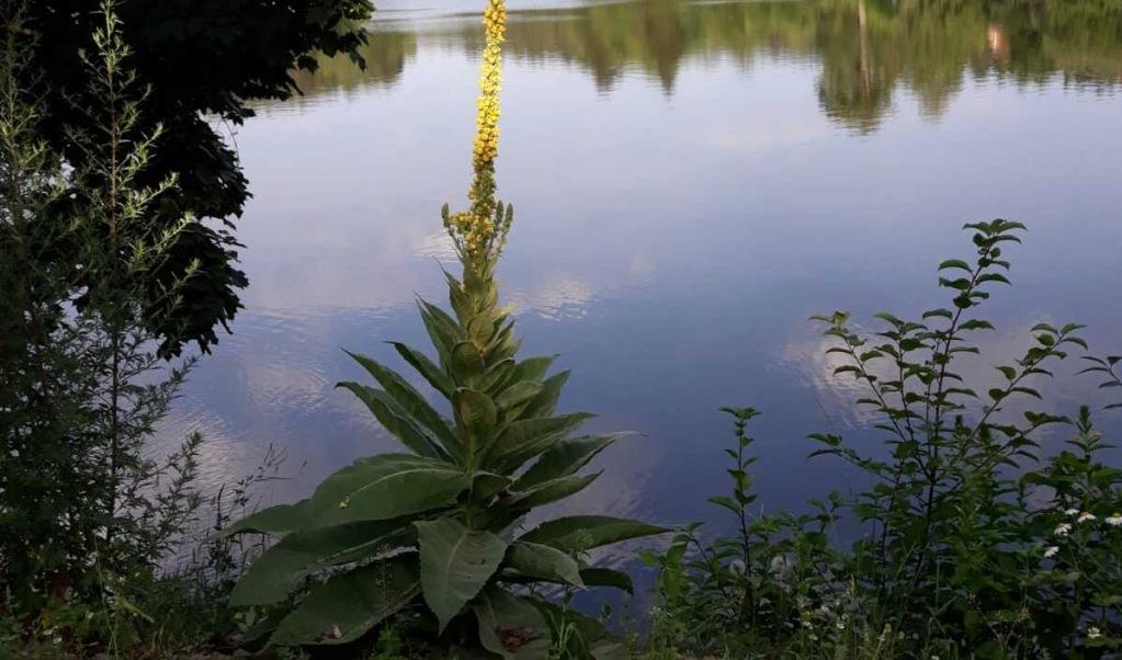 Der Sommer ist bunt: Das sind die schönsten Fotos unserer Leser