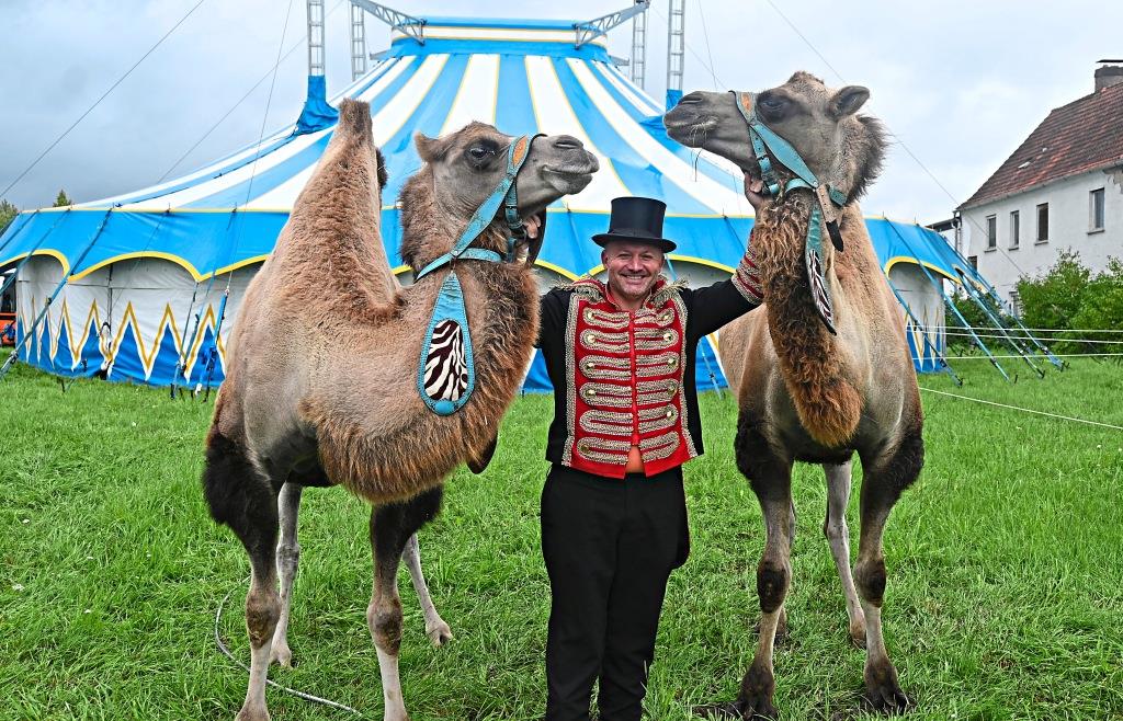 Kamele, Pferde und die Schlange Anna: Circus Alaska gastiert in Schwandorf