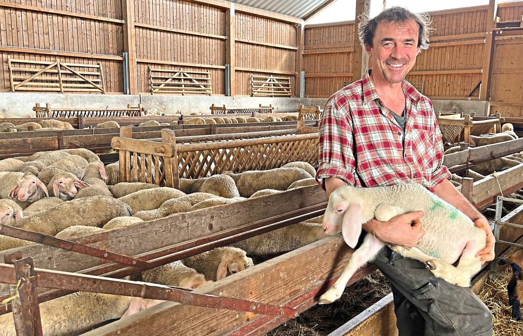 Kleine Lämmer entdecken große Welt: Bei Schäfer Michael Schlamp beginnt die Weidesaison