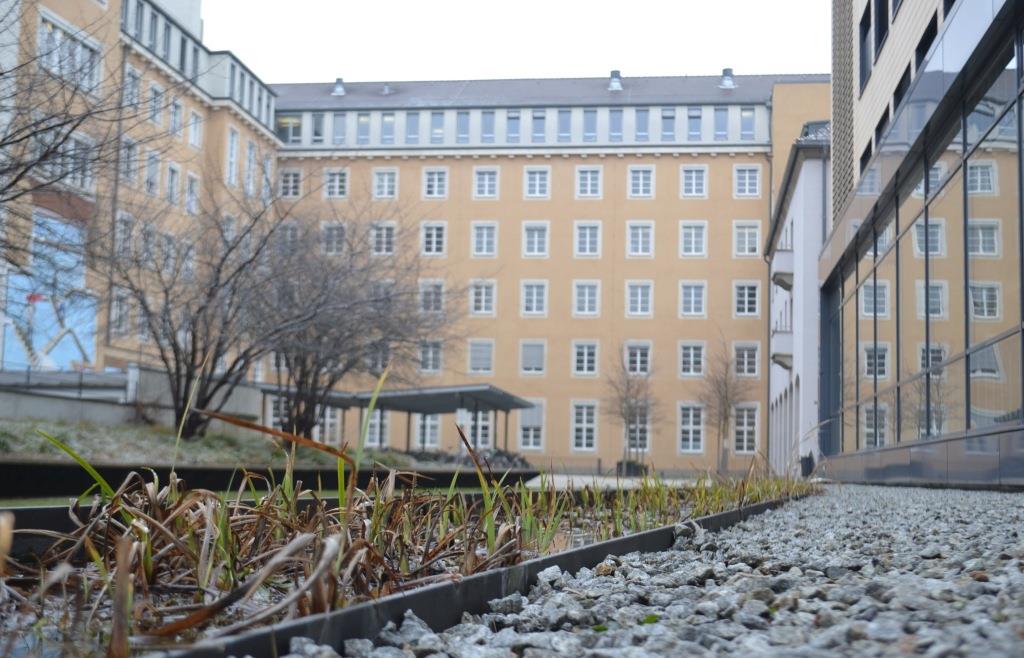 Wasser in der Stadt: Fehlt da in Regensburg der Dampf dahinter?