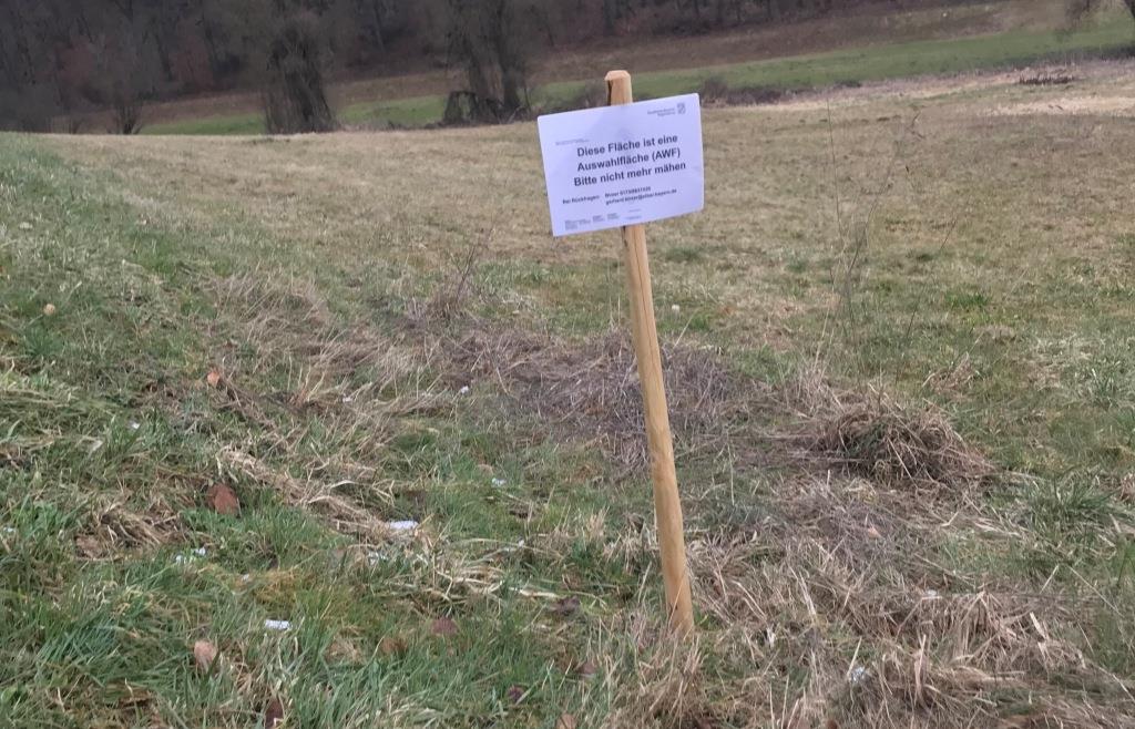 Das steckt hinter dem Schild „Bitte nicht mehr mähen“ in Waldmünchen