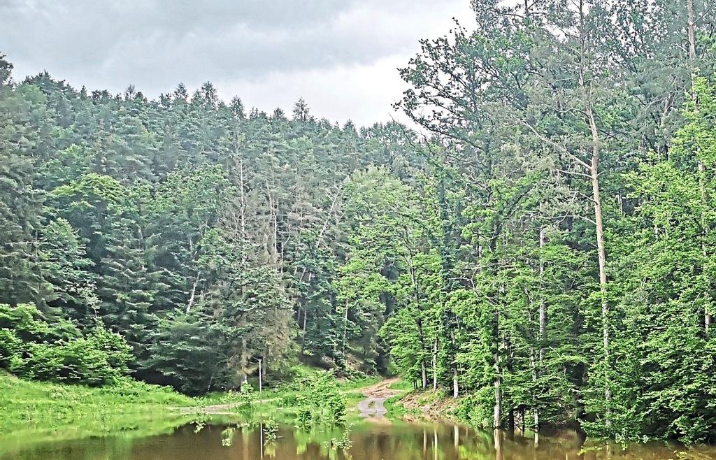Regenstauf: Hochwasserdamm im Steinbachtal im Regental hat sich bewährt