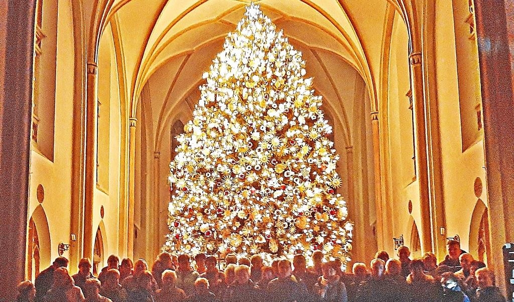 Senioren besichtigten Riesen-Christbaum