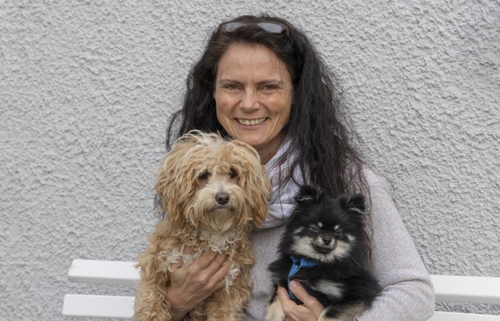 Junge Hunde an Tierheim-Pforte in Regensburg ausgesetzt – Tierschützer ...