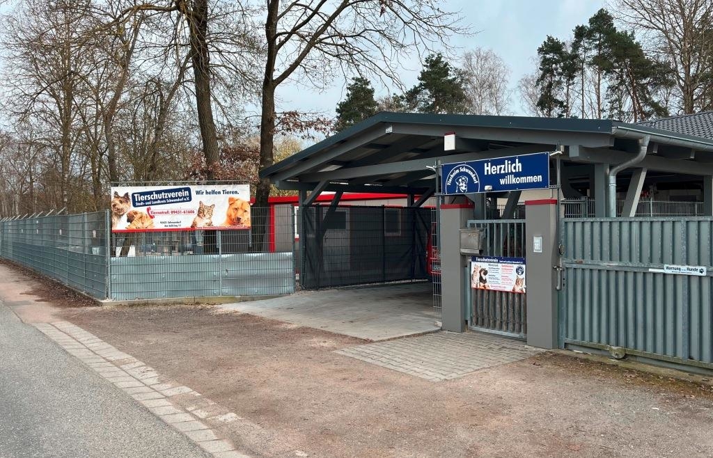 Kratzen und Beißen bei Schwandorfs Tierschutzverein: Wie es zum ...