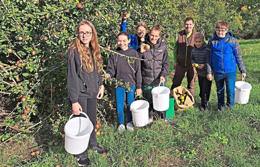 800 Kilogramm Äpfel geerntet: Jugendgruppe des OGV Teublitz sammelte ...