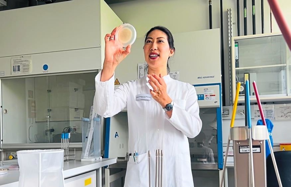 Wissenschaftler in Erlangen jagen Salmonellen und Co. – auf das müssen ...