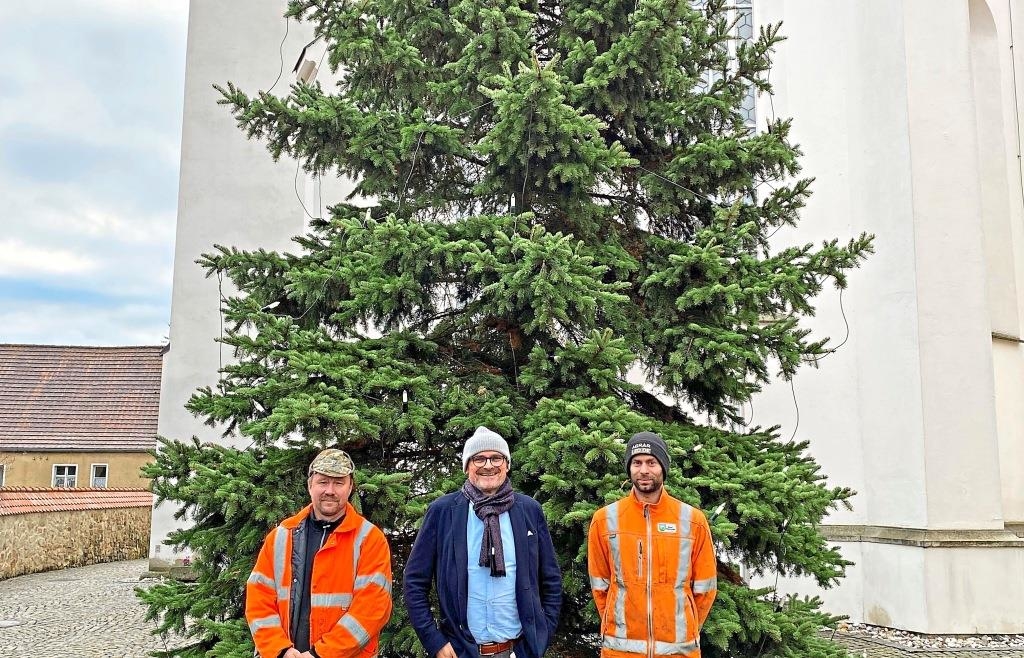 Die Christbäume in Schwarzhofen und Zangenstein stehen wieder