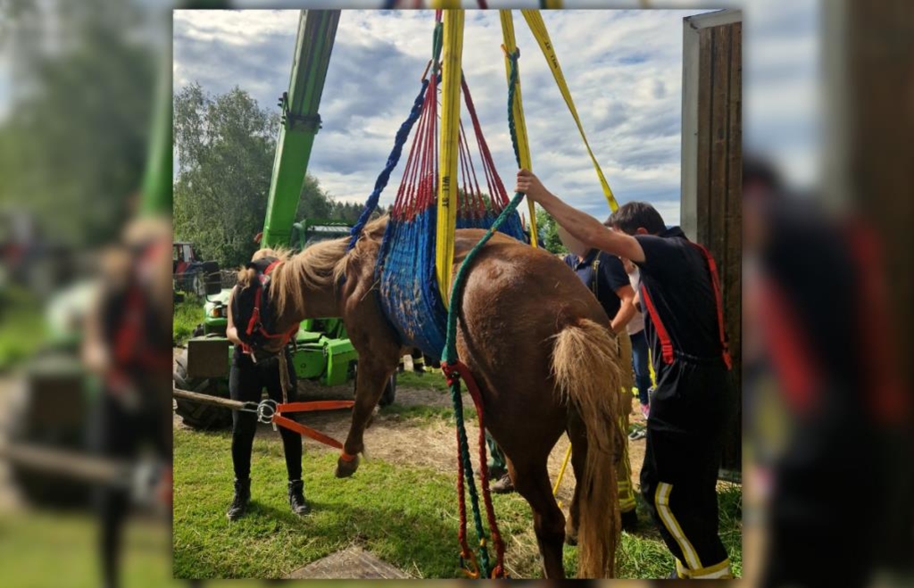 Waldmünchen: Feuerwehr rettet Pferd nach Sturz in einen 1,50 Meter ...