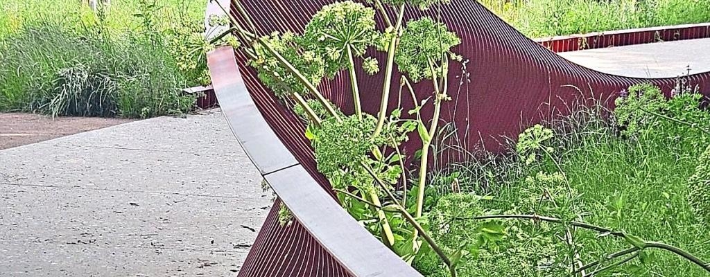 Ehrenamtlicher kritisiert: Gartenschaugelände Furth im Wald verkommt