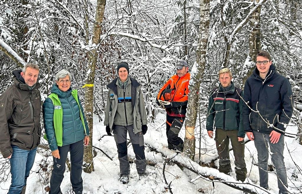Moorbirke in Arrach: Naturparkverein gibt dem Baum des Jahres mehr ...