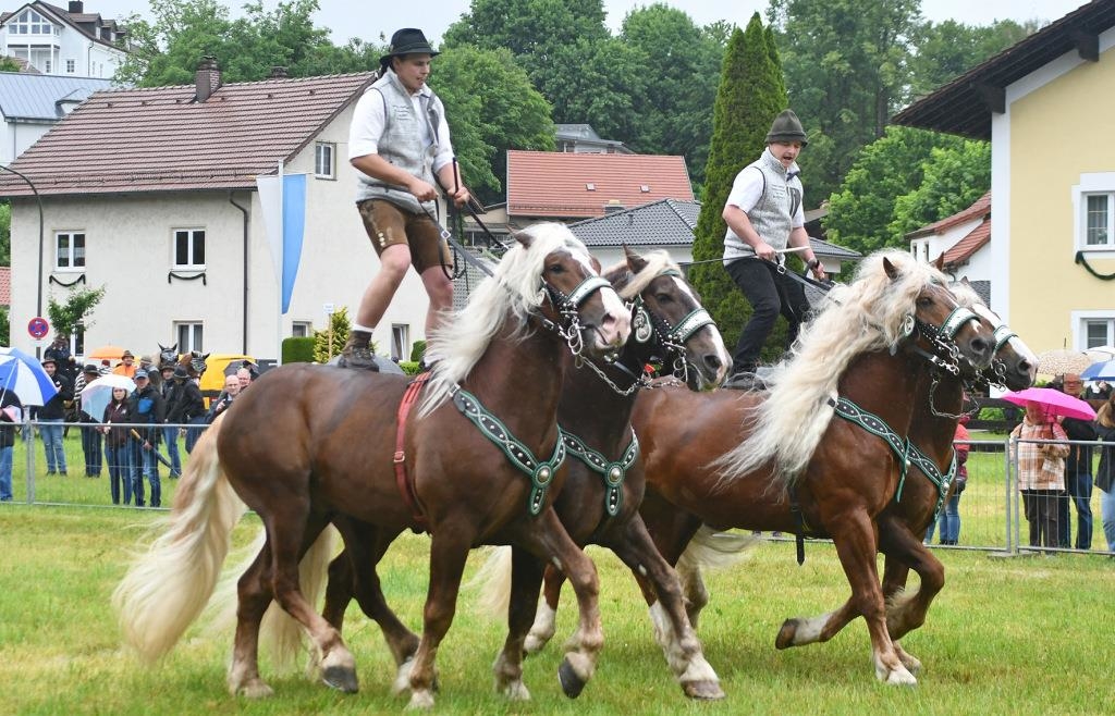 Fotos: Rosserer trotzten dem Dauerregen und präsentierten Süddeutsche ...