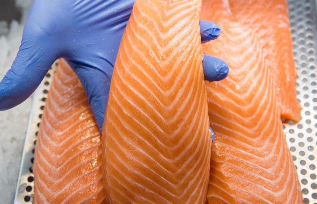 Rewe-Kunden aufgepasst: Ausgezeichneter Bio-Lachs zurückgerufen