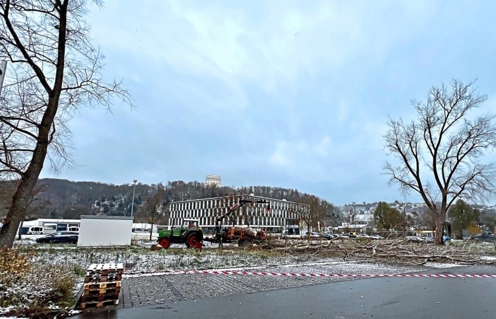 Mussten die Pappeln im Donaupark Kelheim vorschnell weichen – und was ...