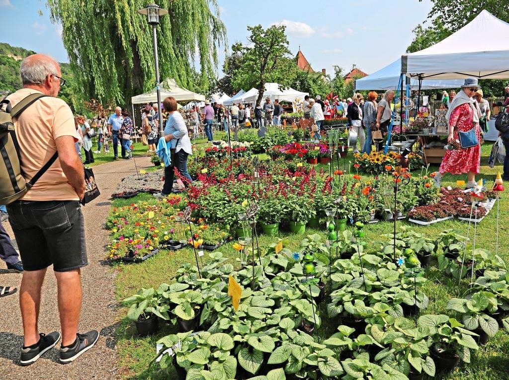 Gartentage Beilngries Rezensionen
