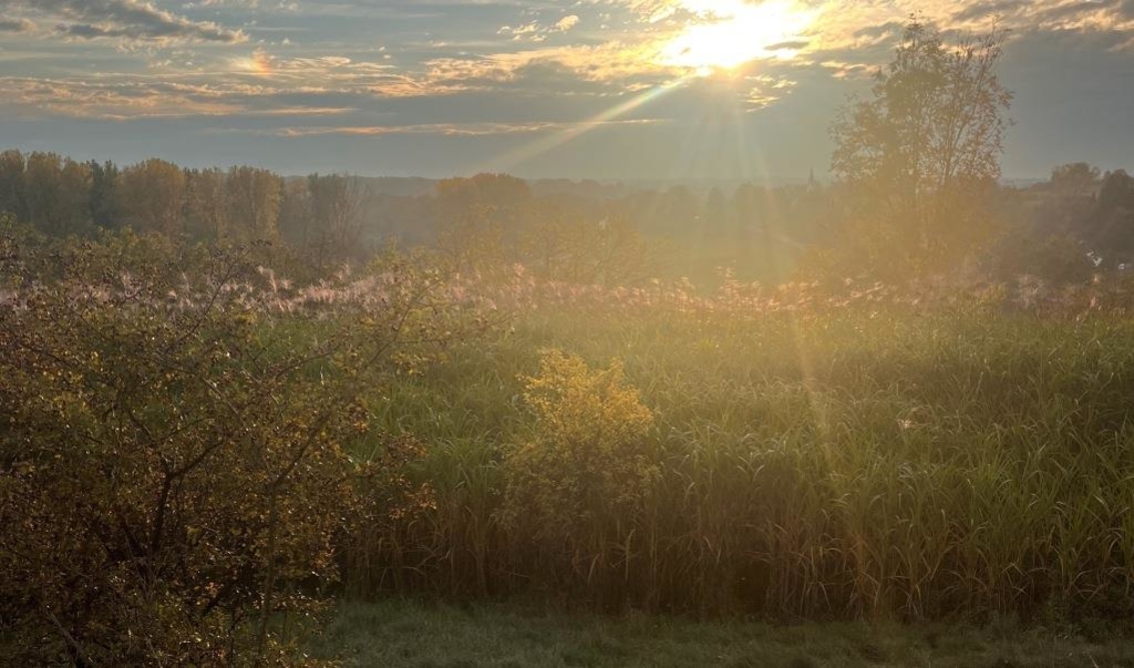 Die schönsten Bilder der Kelheimer Leserfotografen im Oktober, Teil 3