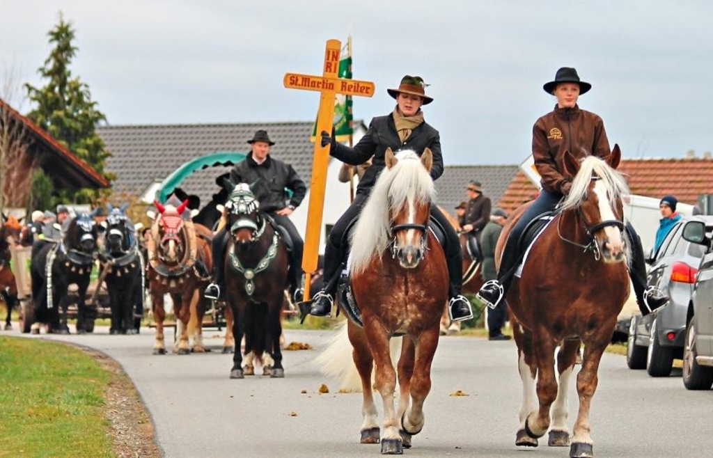 140 Rosserer nahmen mit unterschiedlichen Pferderassen am Martiniritt ...