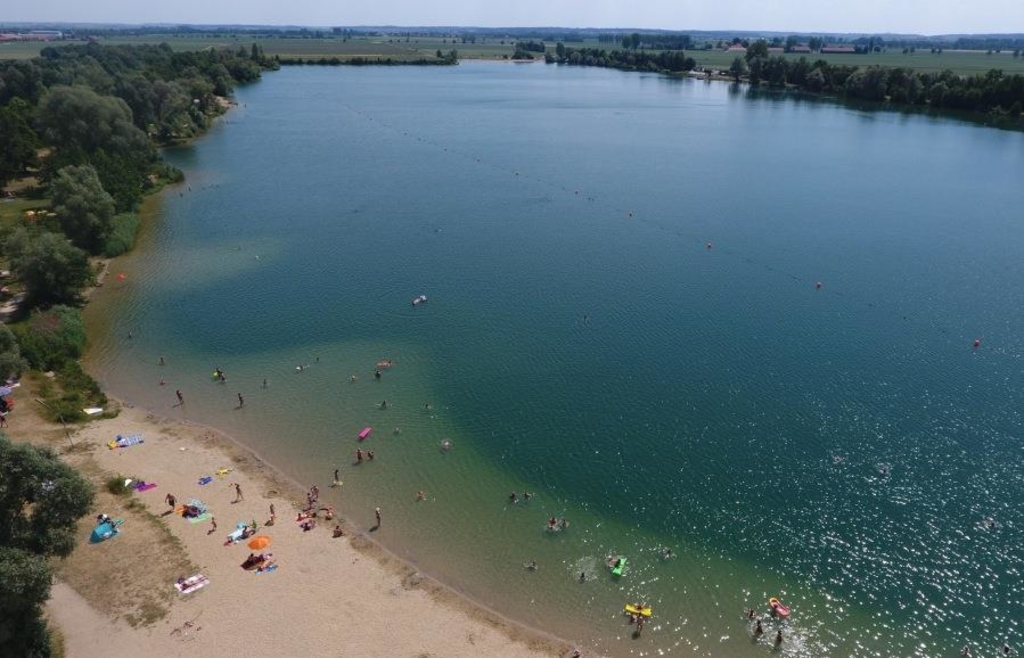 Wirbel um „Riesenwels“ in Mittelfranken: Aggressive Waller auch in ...