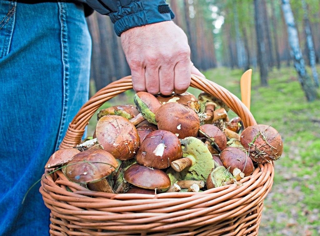 Bokep sotwe selebgram wonderful lady, upbeat, very nice to