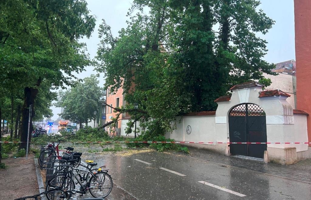 Gewitter über Regensburg: Baum umgestürzt – Feuerwehr sperrt wichtige ...