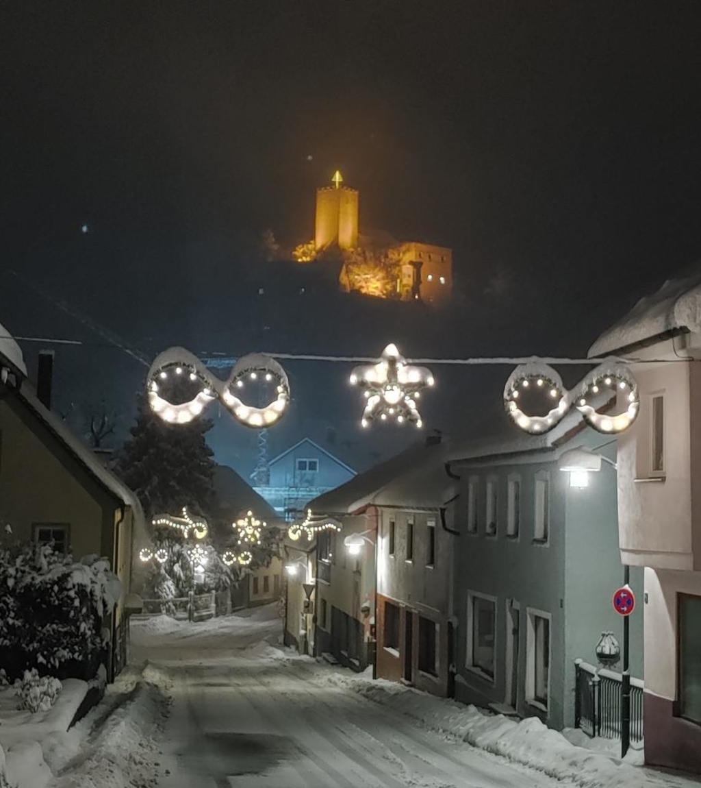 Winterwunderland: Eine Auswahl der schönsten Schnee-Fotos der MZ-Leser
